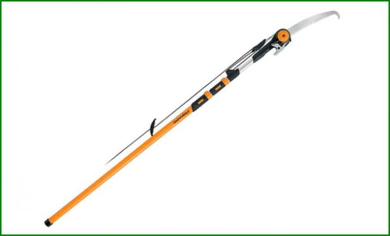 10 Different Types of Pole Saws (with Pictures)